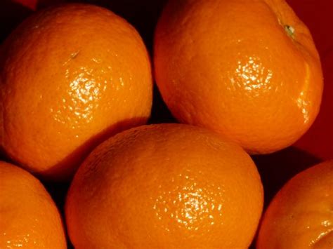 Free Images Fruit Flower Produce Tangerine Calabaza Kumquat