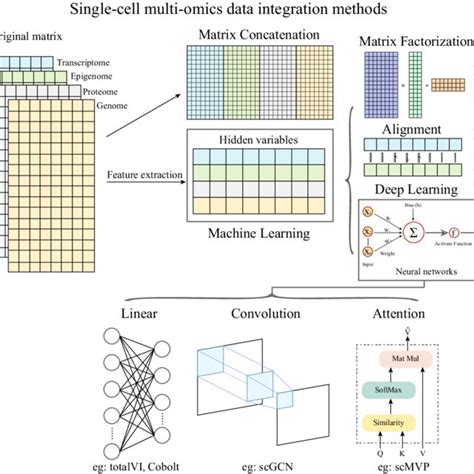 pdf progress in single cell multimodal sequencing and multi omics data integration