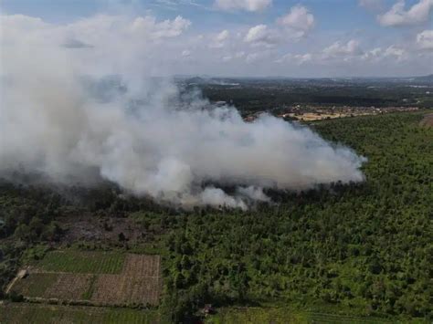 Cuaca Panas Hektar Hutan Tanah Gambut Di Kuantan Terbakar