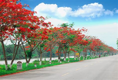 Bộ Sưu Tập Hình Ảnh Mùa Hè Tuyệt Đẹp Với Hơn 999 Ảnh Chất Lượng 4K