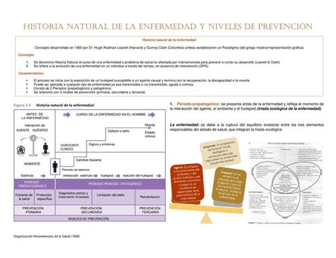 Historia natural de la enfermedad y niveles de prevención SireEdico