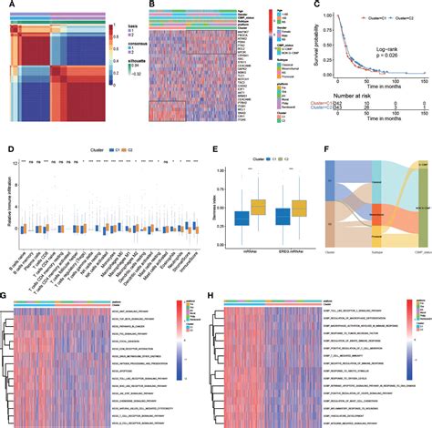 Frontiers Identification And Validation Of An Anoikis Associated Gene