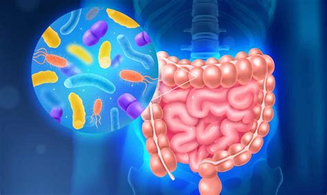Un vistazo rápido a la microbiota intestinal Yakult en Puebla