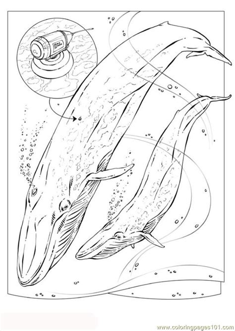 247 dessins de coloriage baleine à imprimer sur LaGuerche Page 6