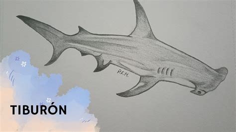 C Mo Dibujar Un Tibur N Martillo Drawing Draw Shark Youtube