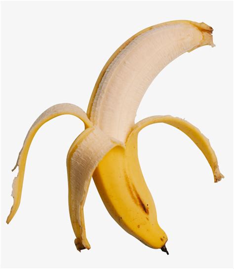 Png Png Kuaipng