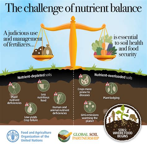 Soil Fertility Global Soil Partnership Food And Agriculture