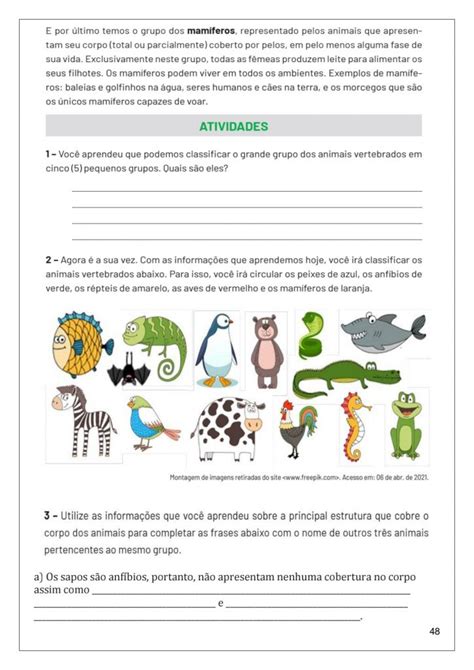 Atividades De Ci Ncias Ano Grandes Grupos De Animais