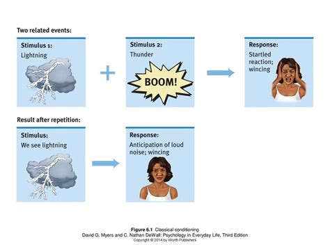 Classical Conditioning Examples In Everyday Life