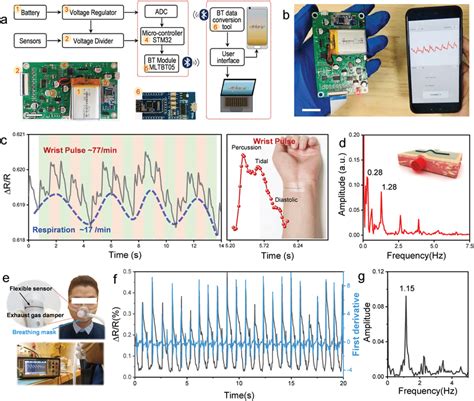 wearable healthcare system in monitoring physiological signals a download scientific diagram