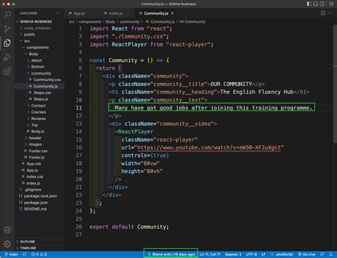 git blame in vs code the top 4 extensions