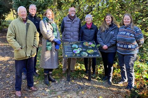 New Boards Reveal The Stories At Denne Road Cemetery Horsham District