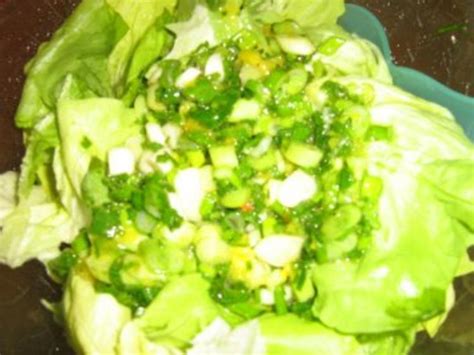 Grüner Salat mit Orangen Mango Dressing Rezept kochbar de