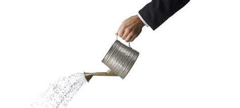 The Impact Of Water On The Future Of Business