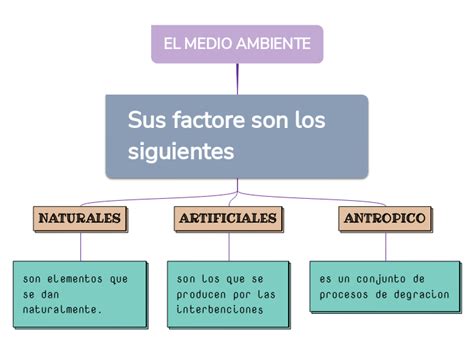 EL MEDIO AMBIENTE Mind Map
