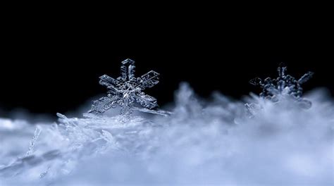 13 Perfect Snowflakes Captured In Photos