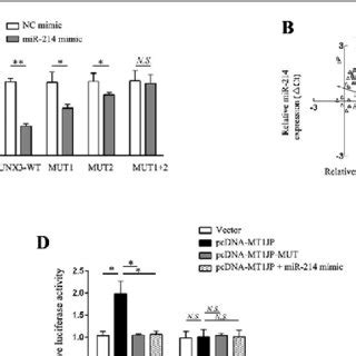 MT1JP Was A Target Of MiR 214 3p A The Expression Of MT1JP In GC