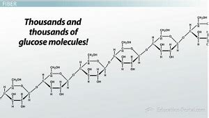 Basic Carbohydrate Chemical Structure