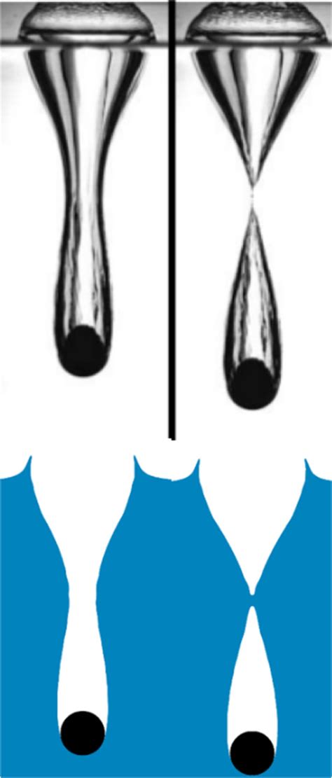 fluid‐structure interaction in two‐phase flow using a discrete forcing method benguigui 2019