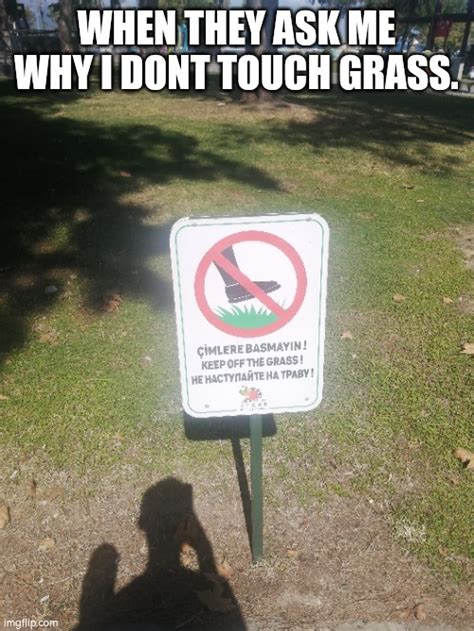 Image Tagged In Grass Imgflip