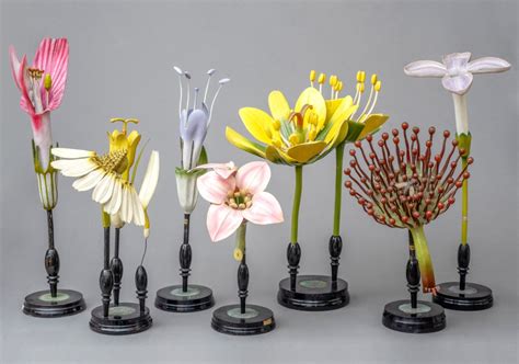 A Collection Of Flower Models By Robert Brendel Ref