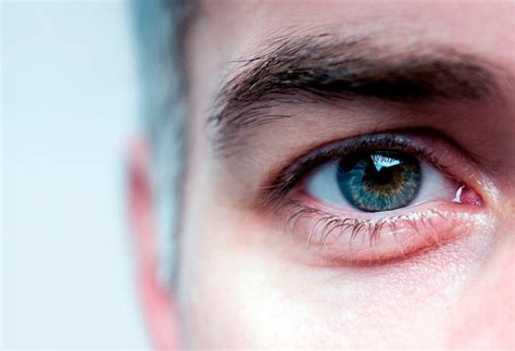 Ojos Salud y bienestar Herbolario Casa Pià