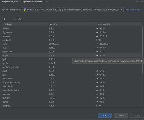 Some Packages Dont Shown In Pycharm Interperter But Shown In Conda List
