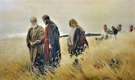 Evangelio y Meditación del día 17 de Enero Lectura del santo evangelio