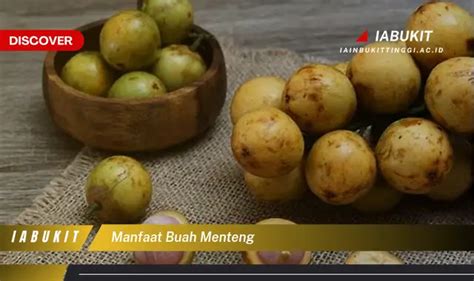 Temukan 7 Manfaat Buah Menteng Yang Jarang Diketahui