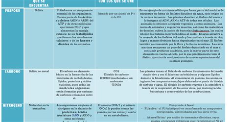 La Ciencia una explicación de la Vida Cuadro Comparativo de