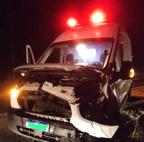 Vaca é atropelada por ambulância e morre na MG 050 em Pedra do Indaiá