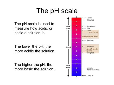 What Is Ph Definition Overview Expii Off