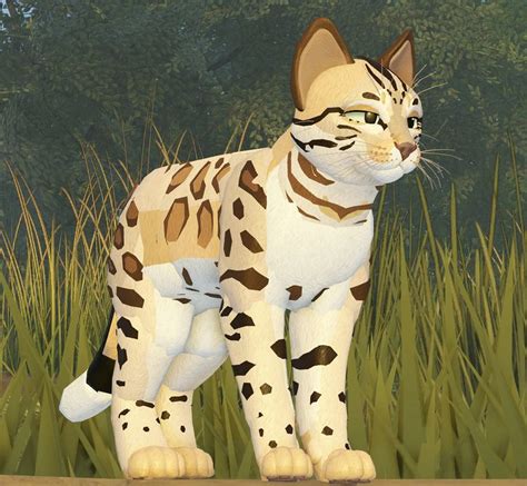 Wcue Bengal Morph Tiere