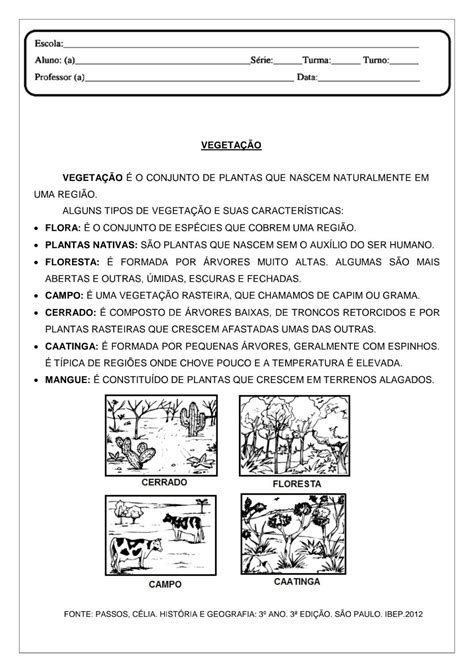 Geografia Ambiente Relevo E Vegeta O Atividade De Geografia Sobre