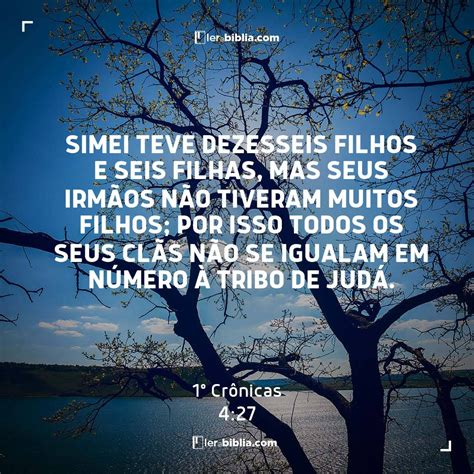 Livro 1º Crônicas Capítulo 4 Versículo 27 1ºCrônicas
