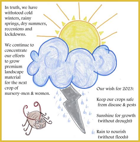 Our Wish For 2023 Angelica Nurseries Inc