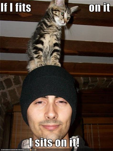 Image If It Fits I Sits Know Your Meme
