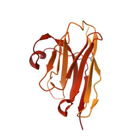 RCSB PDB 8GZ3 Structure Of Human Phagocyte NADPH Oxidase In The