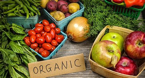 Cinco Razones Ticas Para Consumir Alimentos Ecol Gicos