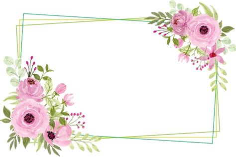 Marco Floral Rosa Acuarela Vector Premium
