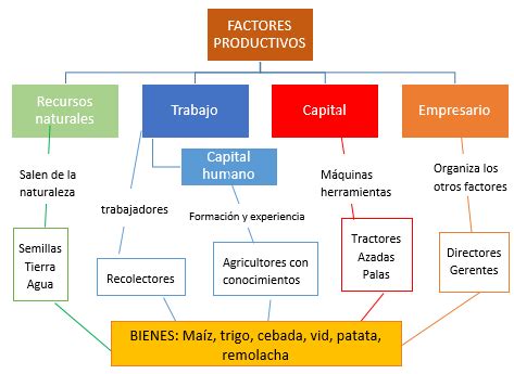ACTIVIDAD RESUELTA 1 Factores Productivos ECONOSUBLIME