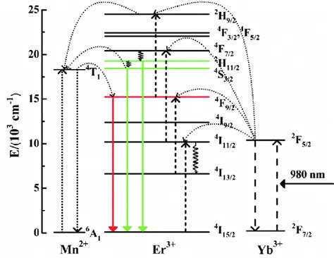 Energy Level Diagrams Of Er 3 Yb 3 And Mn 2 And The Relative