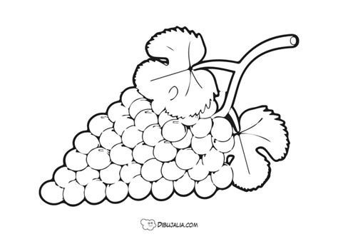 Racimo De Uvas Dibujo 885 Dibujalia