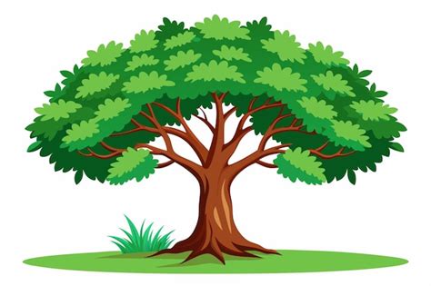 Un gran árbol verde con un tronco grueso y un follaje exuberante