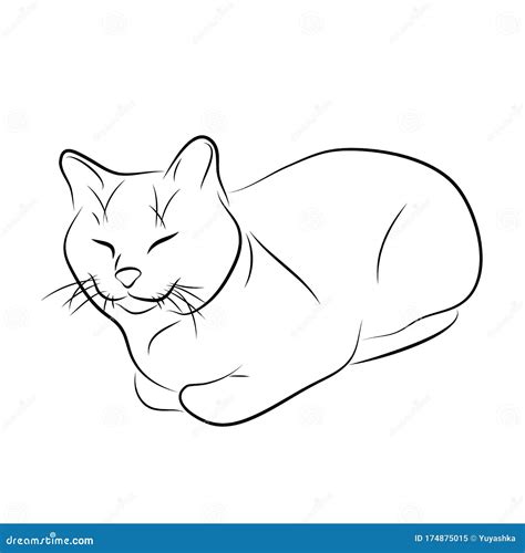 List 94 Pictures How To Draw A Cat Laying Down Latest