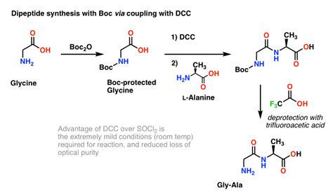 Protecting Groups For Amines Carbamates Master Organic Chemistry