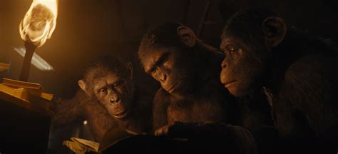 La Planète des Singes Le Nouveau Royaume au Thonon Les Bains Ciné Leman