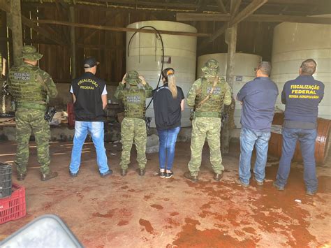 BPFRON apreende 166 litros de cachaça em alambique clandestino além de