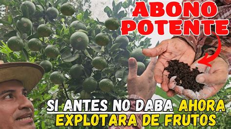 ABONO POTENTE Haz Que Tu Planta EXPLOTE De FRUTOS Con BORRAS De