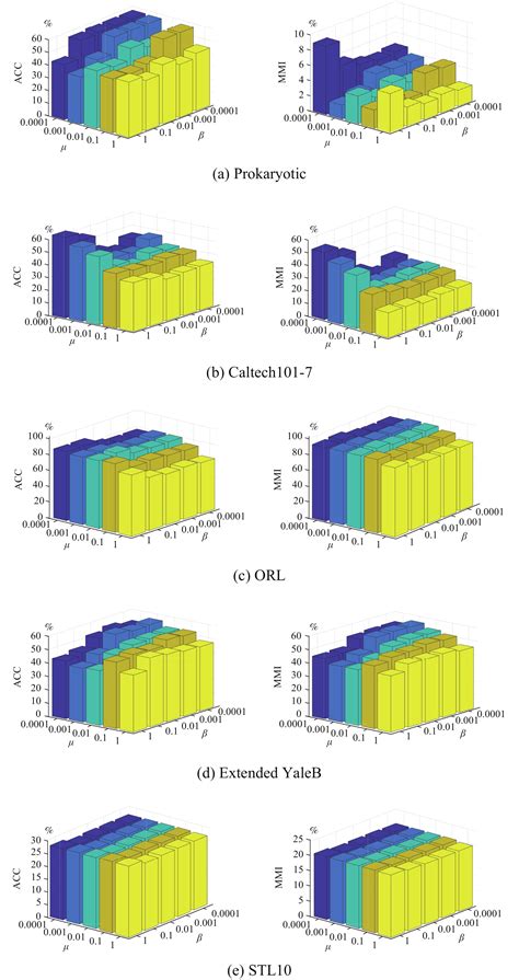 diverse deep matrix factorization with hypergraph regularization for multi view data representation